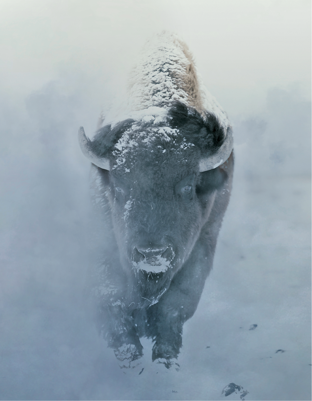 Super Mobile Batching Plant – BISON – Simem